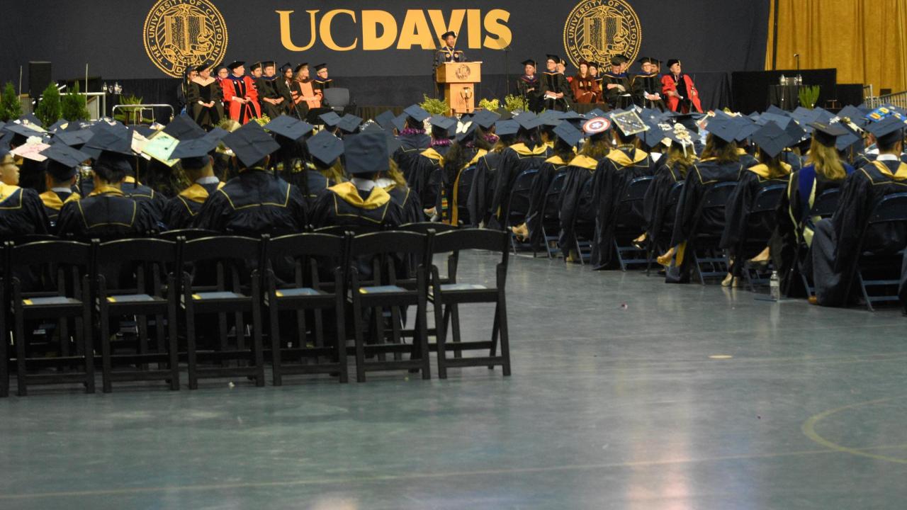 The Person Behind the Scientist: A Ph.D. Journey | Science Says